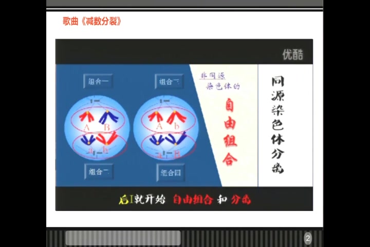 人教版高中生物必修二_第1节 减数分裂和受精作用二 受精作用-刘老师...