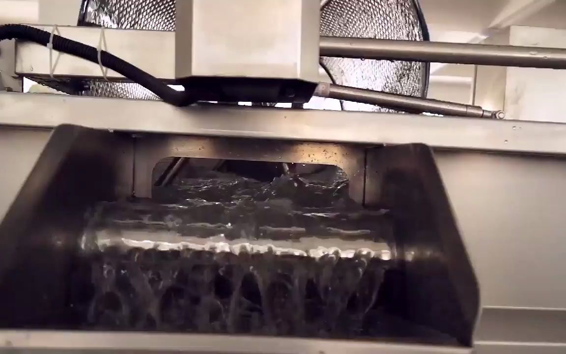 中央厨房叶菜类净菜流水线生产加工净菜全流程