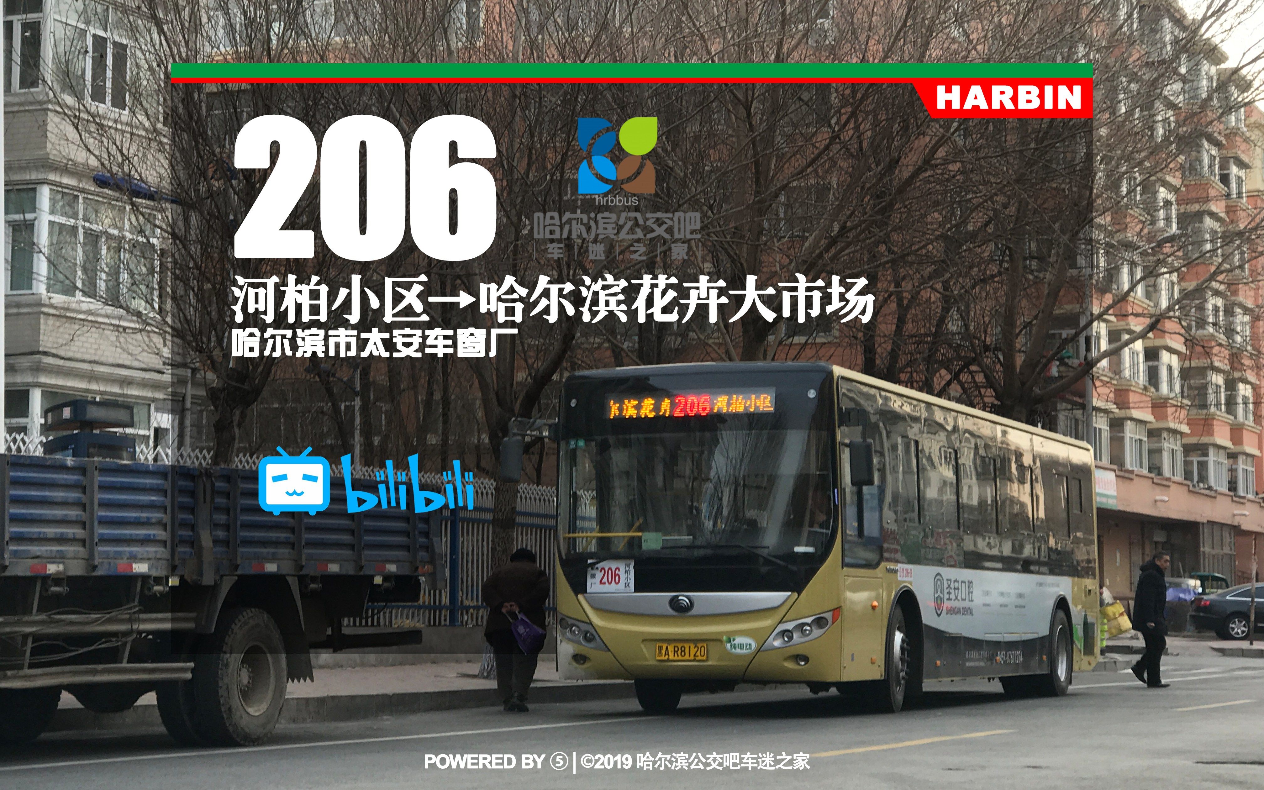 【冰城夏都HD#166】哈尔滨公交206路POV(河柏小区→哈尔滨花卉大...