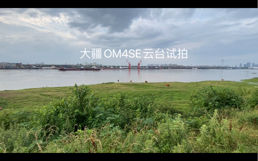 大疆OM4SE试拍