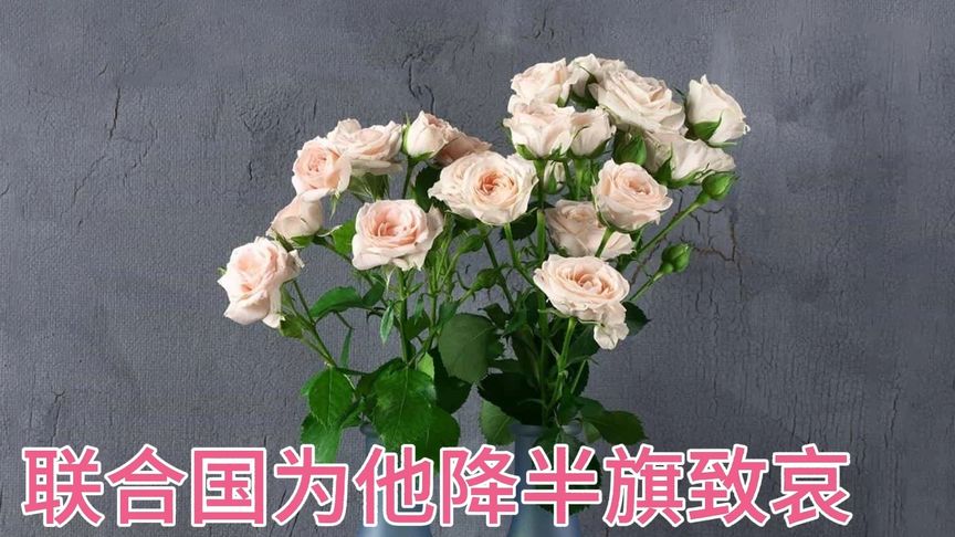 联合国为他降半旗致哀!