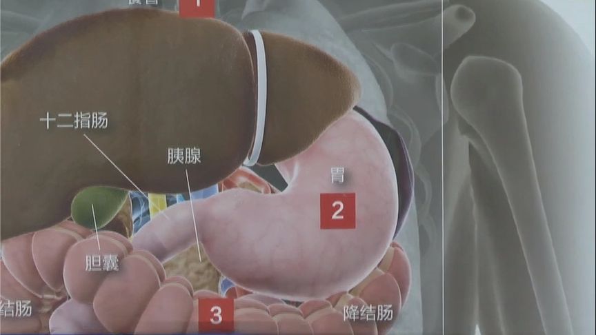 警惕! 这种病菌在家庭传播 幽门螺杆菌或诱胃癌