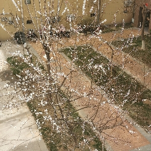老杨的投资日记 