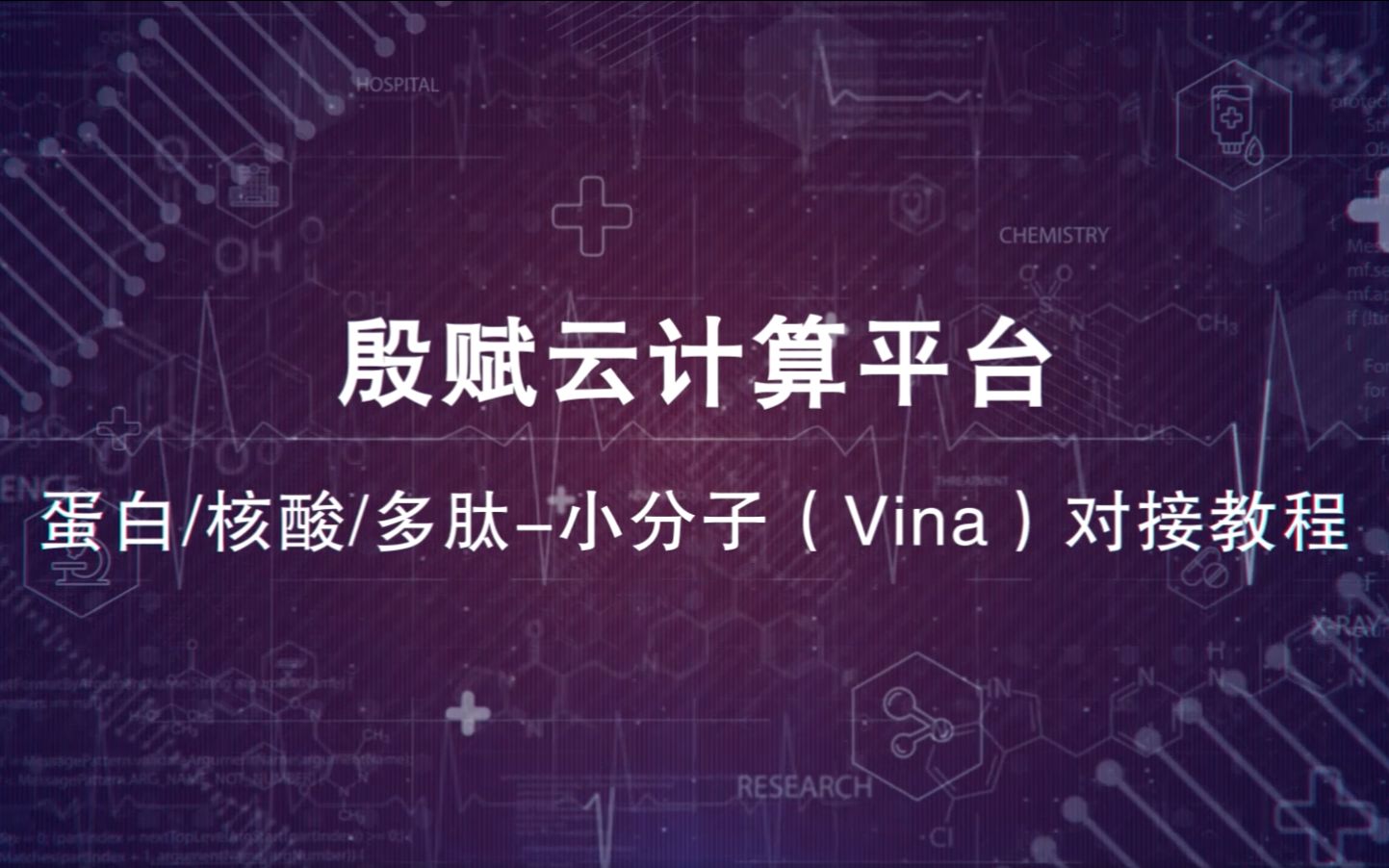 蛋白核酸多肽-小分子对接(Vina)视频教程