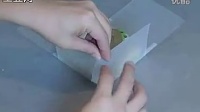 手板公仔硅胶模具开模操作视频