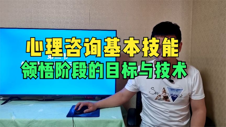 心理咨询基本技能:2-2领悟阶段的目标与技术