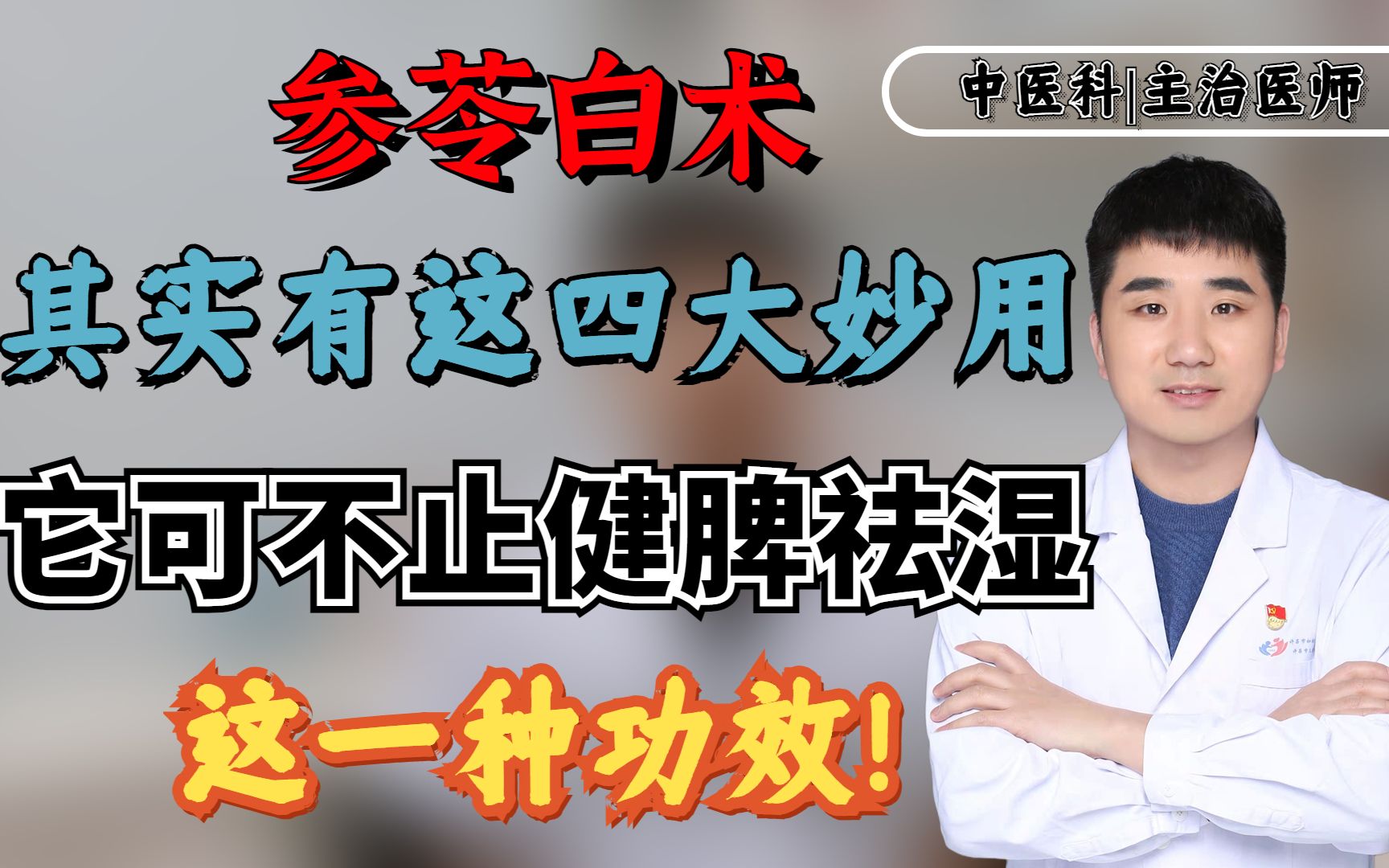 参苓白术其实有这四大妙用,它可不止能够健脾祛湿这一种功效!