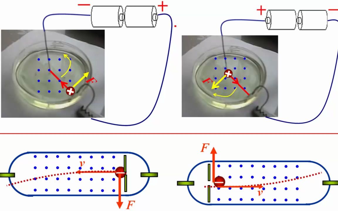 洛伦兹力的方向为什么用左手定则判定(而不用右手定则判定)的呢?