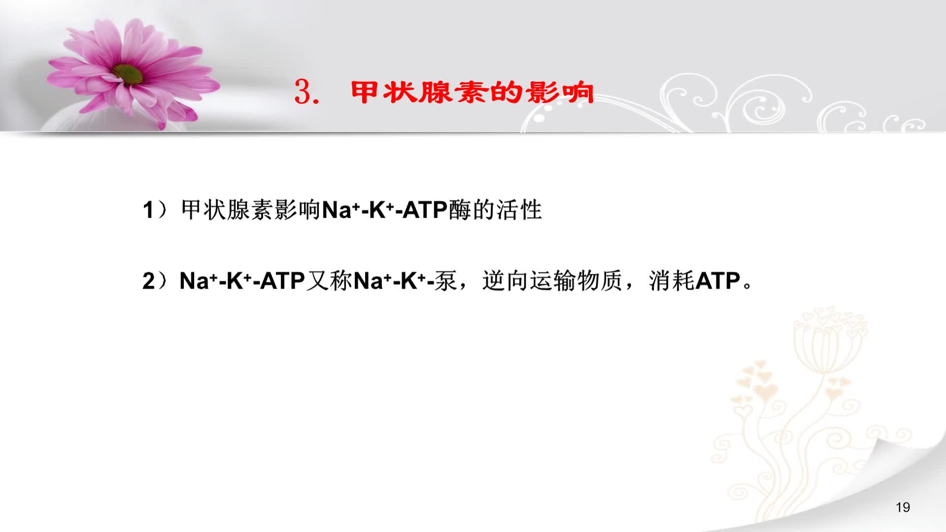 生物化学呼吸链ATP的产生和利用