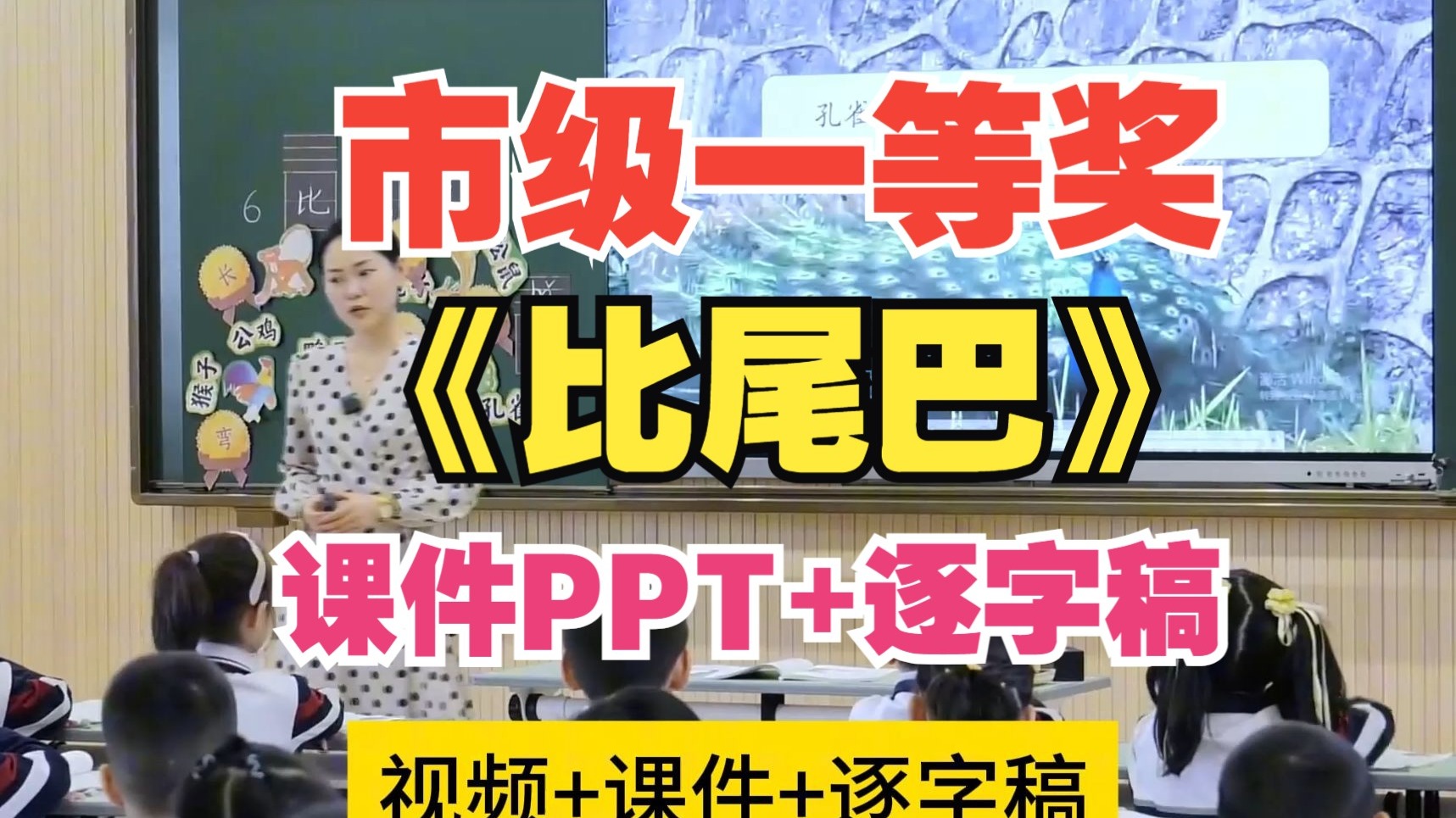 小学语文低段《比尾巴》公开课比赛一等奖课堂实录视频课件