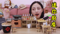 用迷你厨房做菜真的能吃吗?挑战最小厨具,炒菜炒到崩溃!