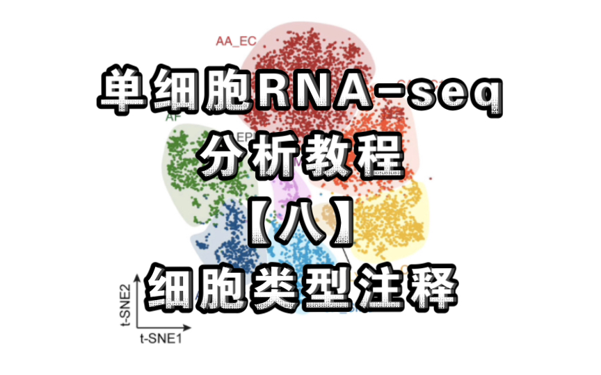 单细胞RNA-seq分析方法【八】细胞类型注释