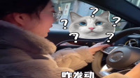 考了手动挡驾照,自动挡的不会开了
