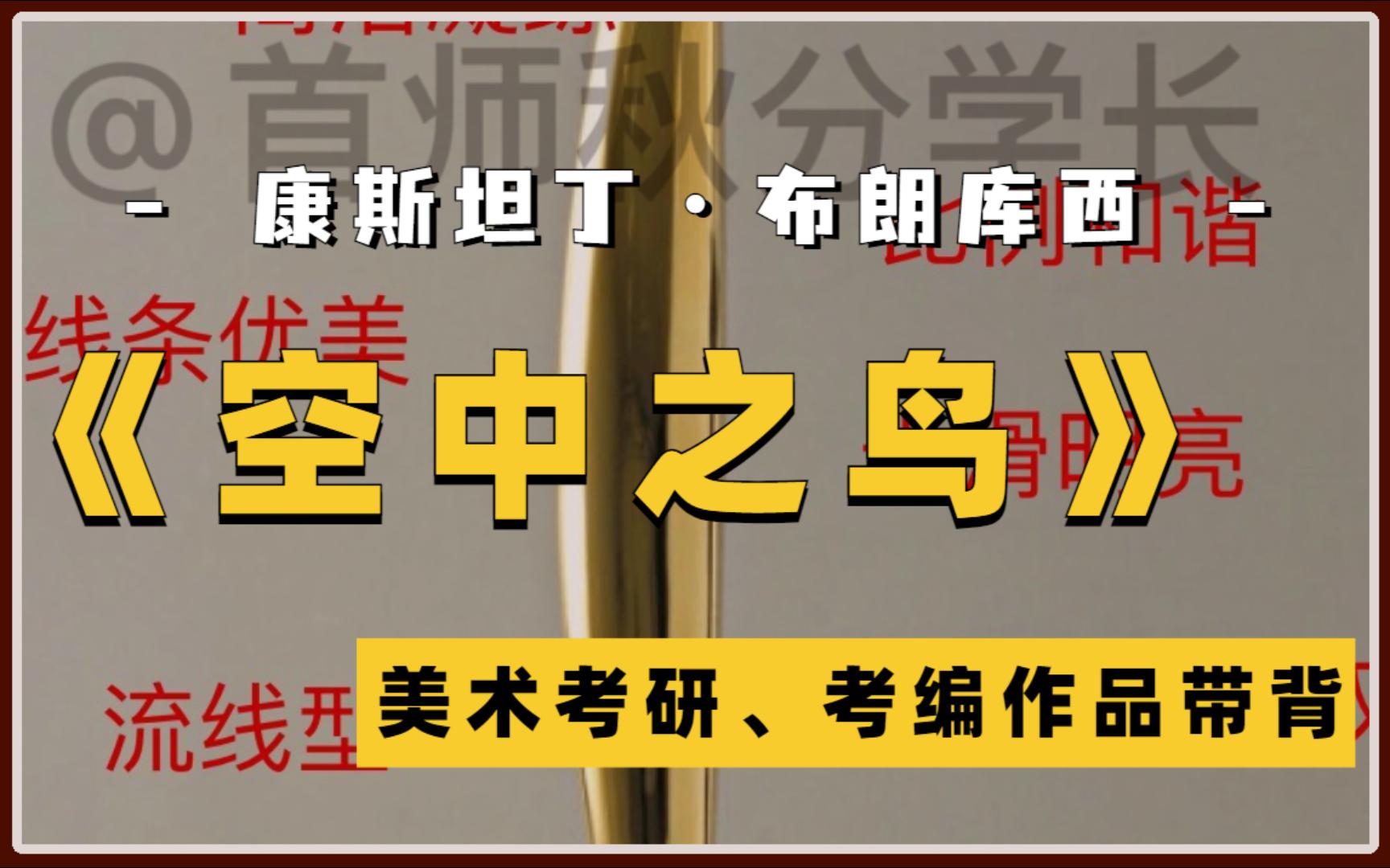 布朗库西雕塑——《空中之鸟》首都师范大学美术考研、考编作品带背