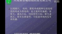 什么药治疗鸡传染性喉气管炎