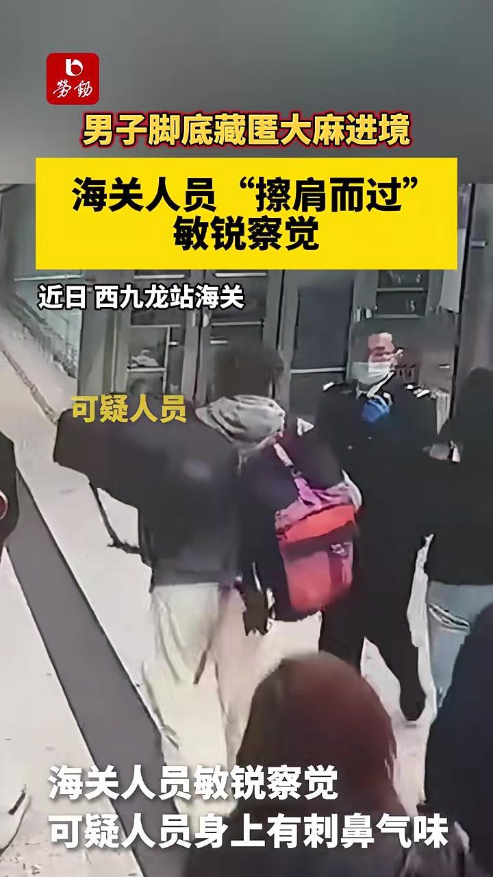 男子脚底藏匿大麻进境,海关人员"擦肩而过"敏锐察觉#海关#毒品#入境