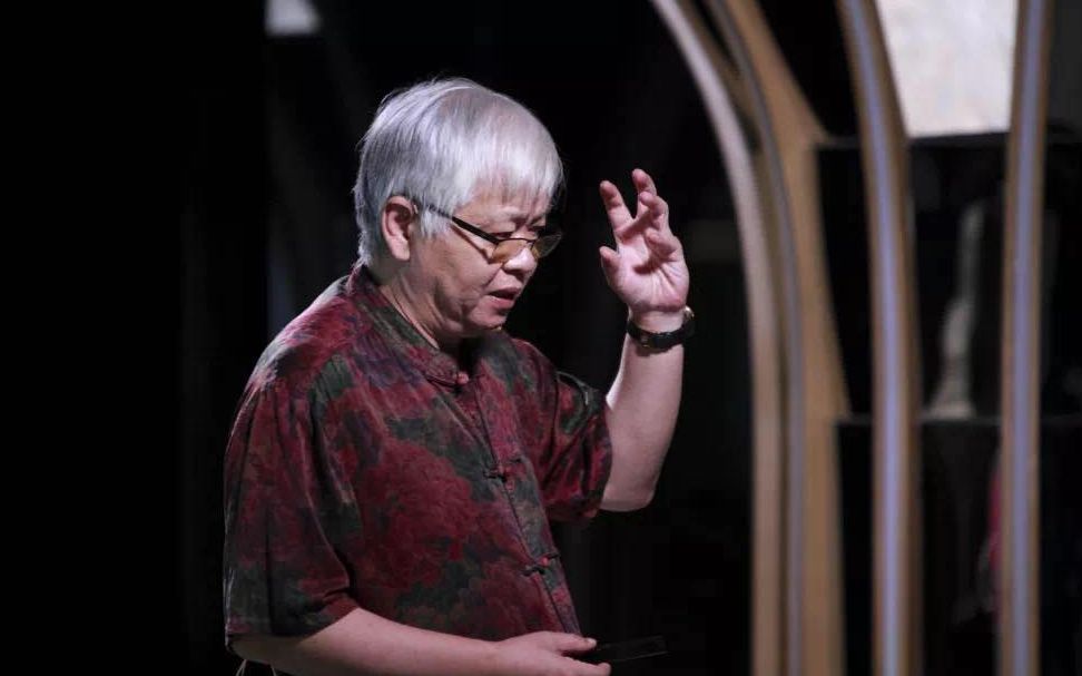 眼界演讲 郑稼和:中国设计犯了一个最大的毛病,就是装腔作势