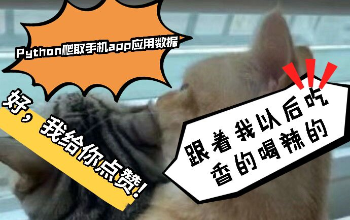 python爬虫必备技能-抓取手机app数据完整课程