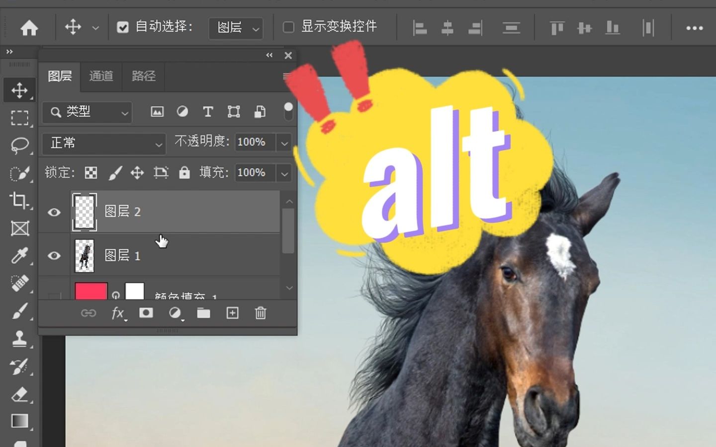 ps教程|给抠图穿帮的图片去白边 只需简单2步搞定!
