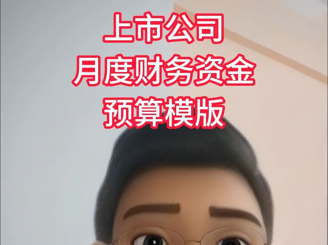 上市公司财务月度资金预算模版