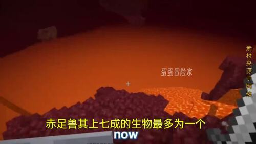 在我的世界里,把那些不让养的动物全抓来!
