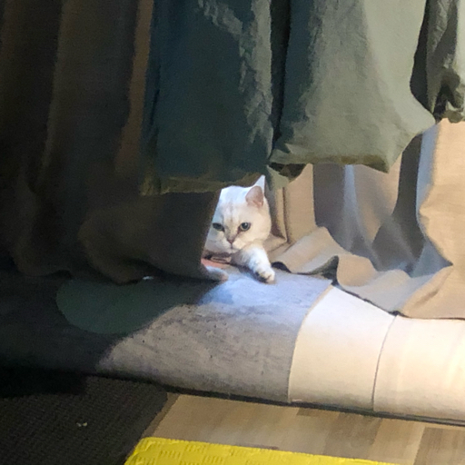 人来人往都是王王 