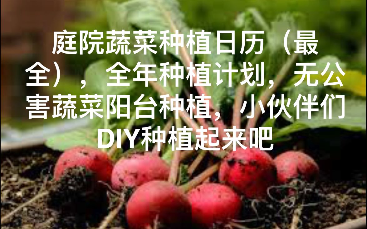 庭院蔬菜种植日历(最全),全年种植计划,无公害蔬菜阳台、庭院种植,小...