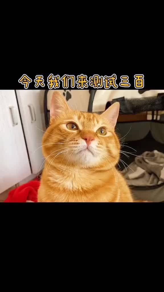 如果满分十分,你给三百打几分?我先来7分,不能再多了!