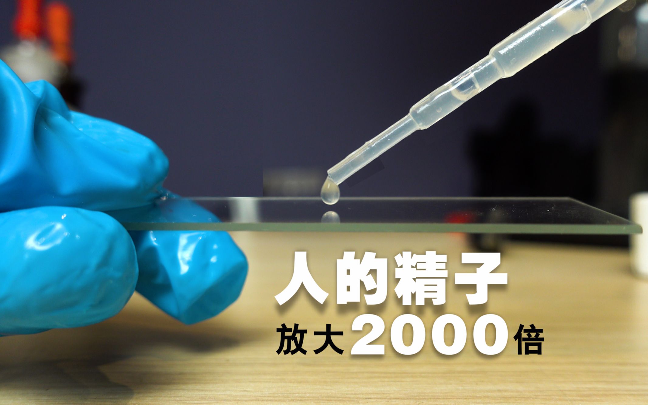 人的精子放大2000倍看,原来我“儿子”长这样