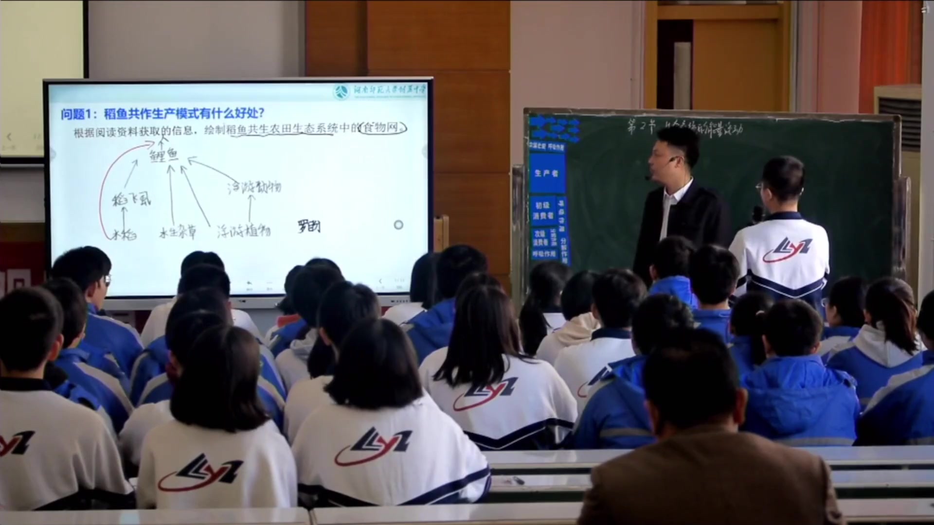 生态系统的能量流动