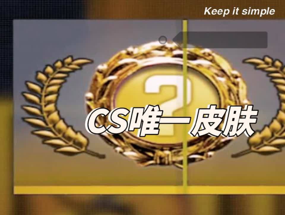 《CS唯一皮肤》 CS2 cs2三哥 CSGO