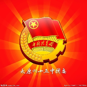 太原六十五中团委 