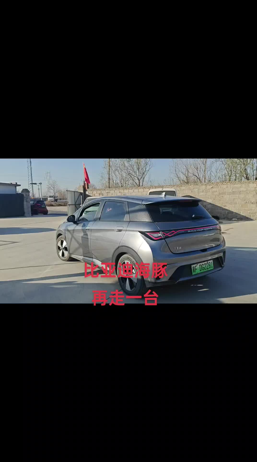 比亚迪海豚全款再走一台,现车多多哦#新能源电动汽车 #比亚迪海豚