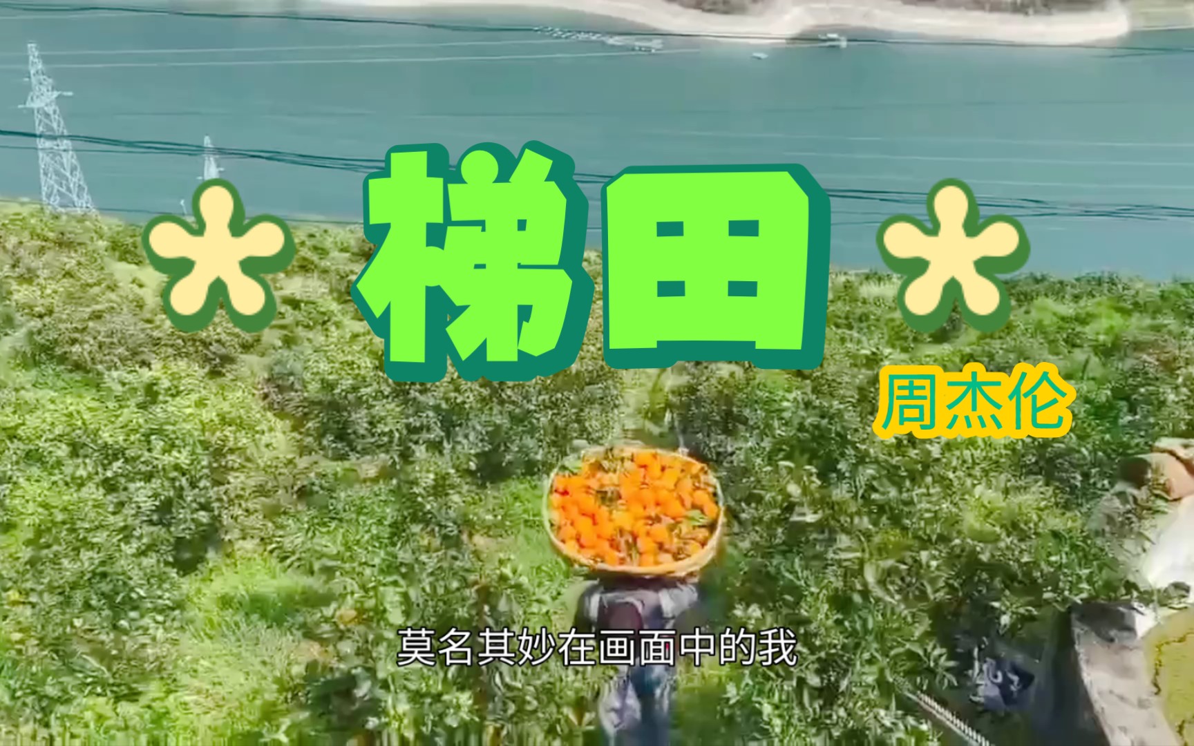 秭归的向大哥送来两箱橙子先恰饭,再宣传
