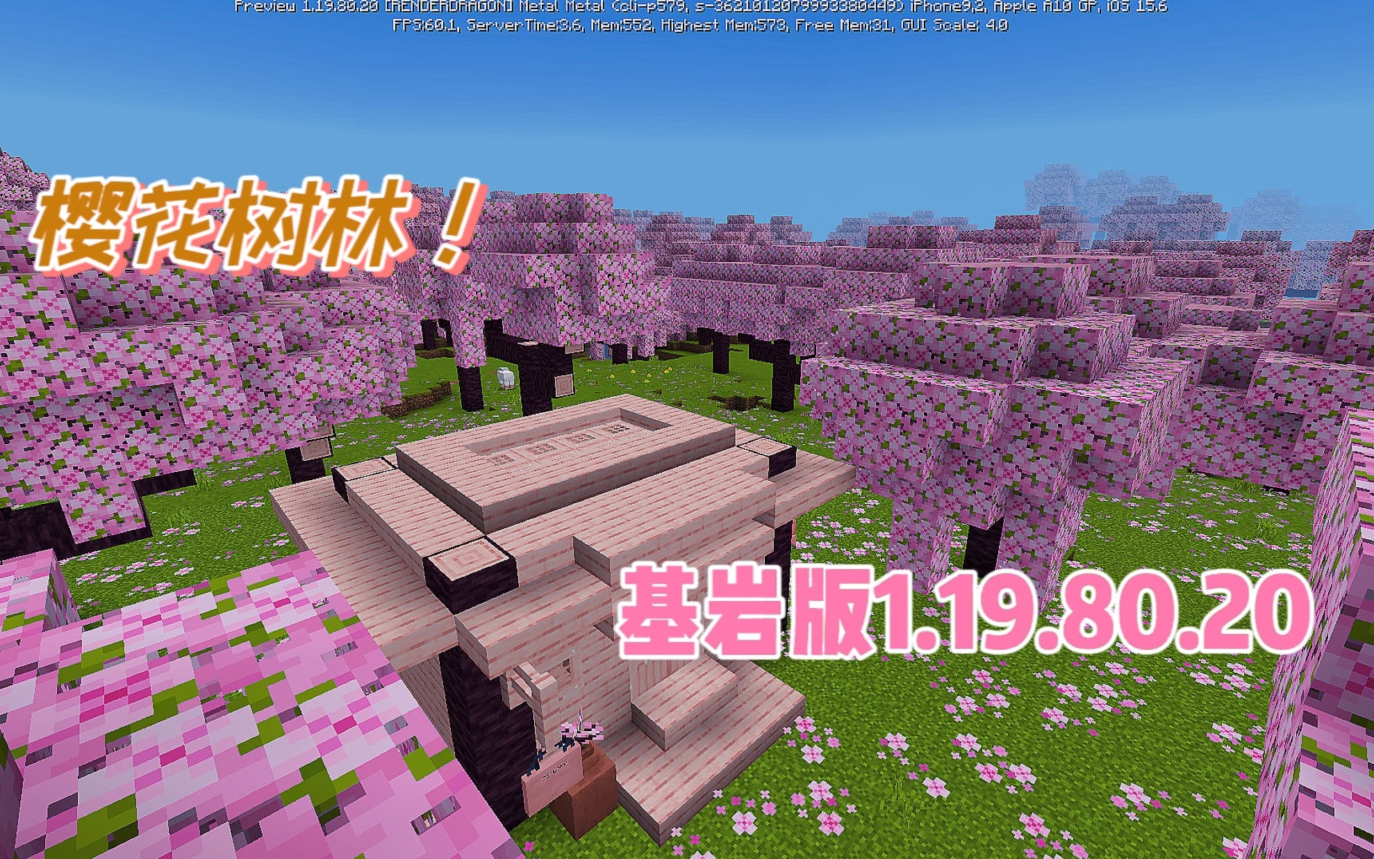 我的世界:樱花树林终于加入基岩版!春日Minecraft赏樱花!_我的世界