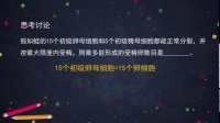 高一生物学(人教版)必修2减数分裂和受精作用(1)_(高中一年级生物学)#...