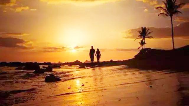 与你同行(代伐钟朗读)