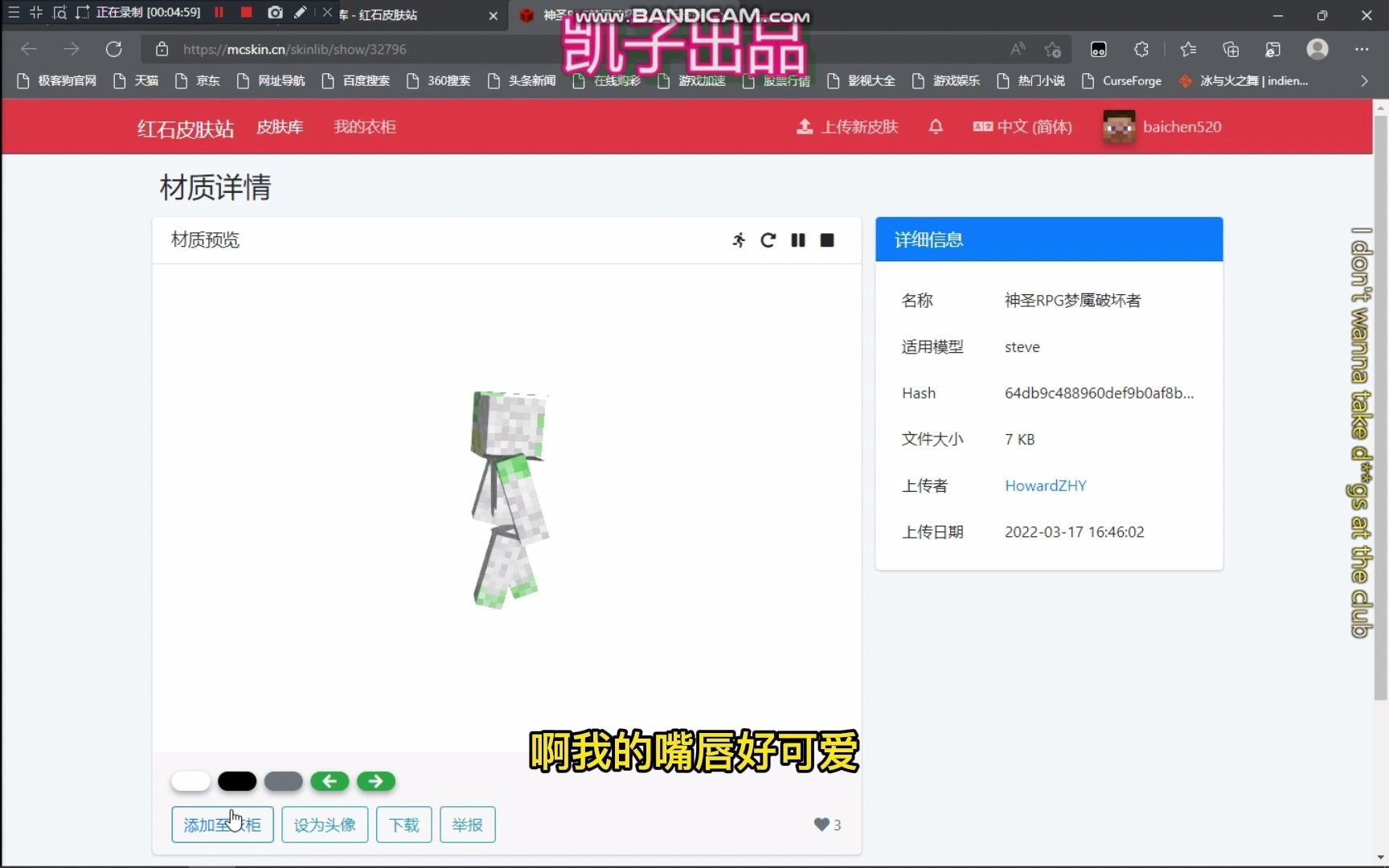 我的世界Java版整合包安装办法_单机游戏热门视频