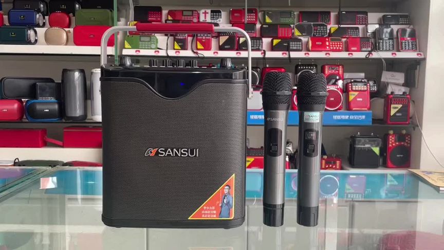 山水大功率手提蓝牙音响 直播声卡无线话筒 双喇叭持续热销
