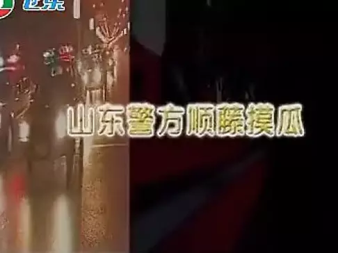 中国大案侦破纪实[第2部]第2碟