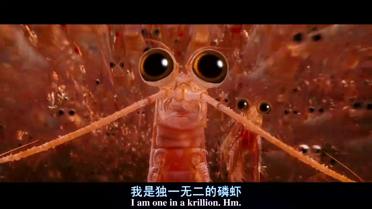 【动画】一只特立独行的南极磷虾