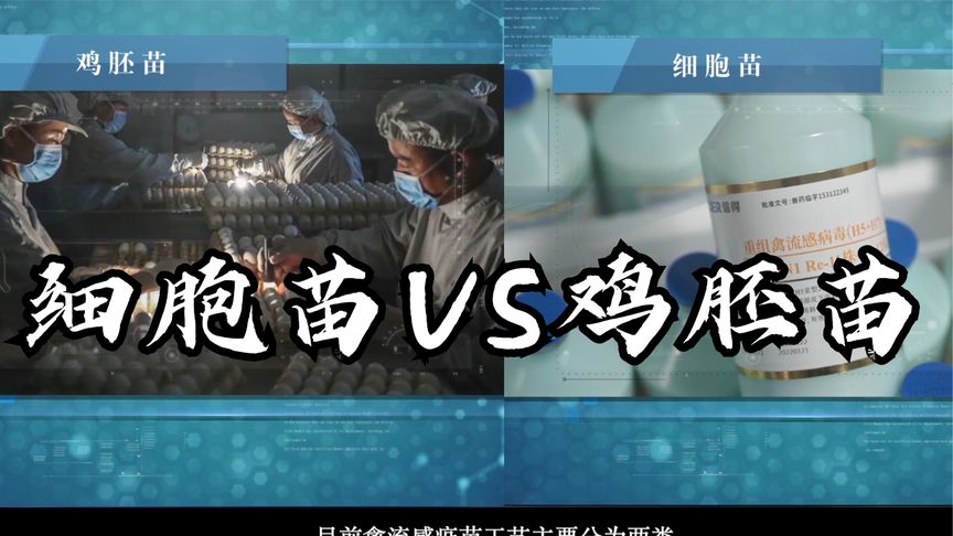 禽流感疫苗种类的科普