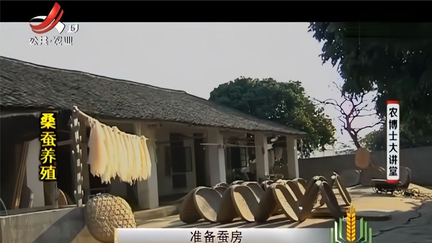 养蚕织丝历史悠久,怎样才能养好蚕呢?环境的温度湿度非常重要!