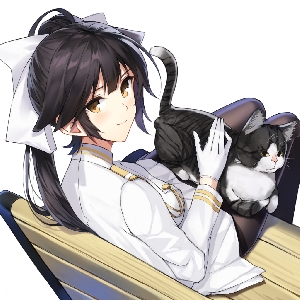 从不咕咕的鸽纸 