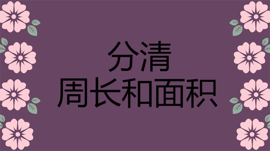 小学奥数——分清周长和面积