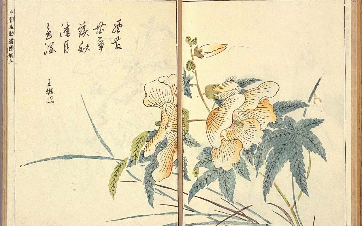 日本最早的彩色画谱-明朝紫砚-又名《明朝生动画园》上