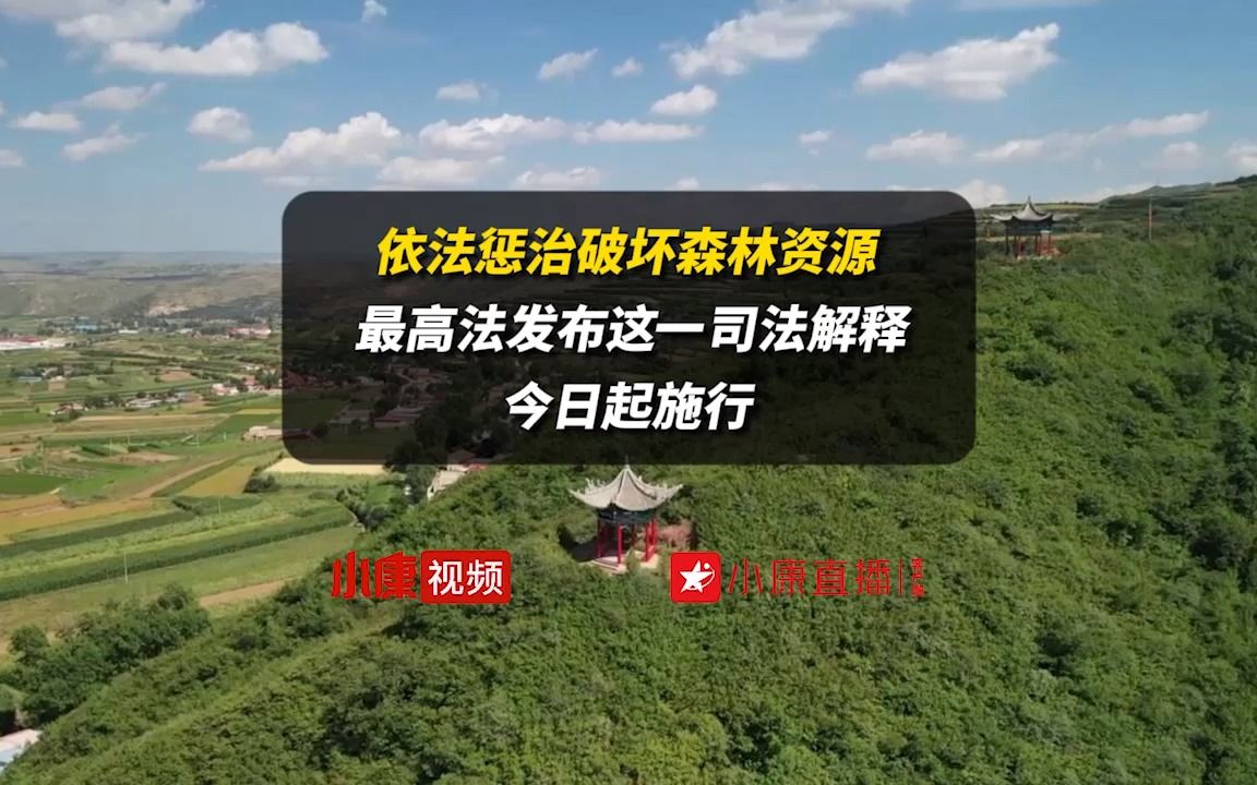依法惩治破坏森林资源 最高法发布这一司法解释 今日起施行