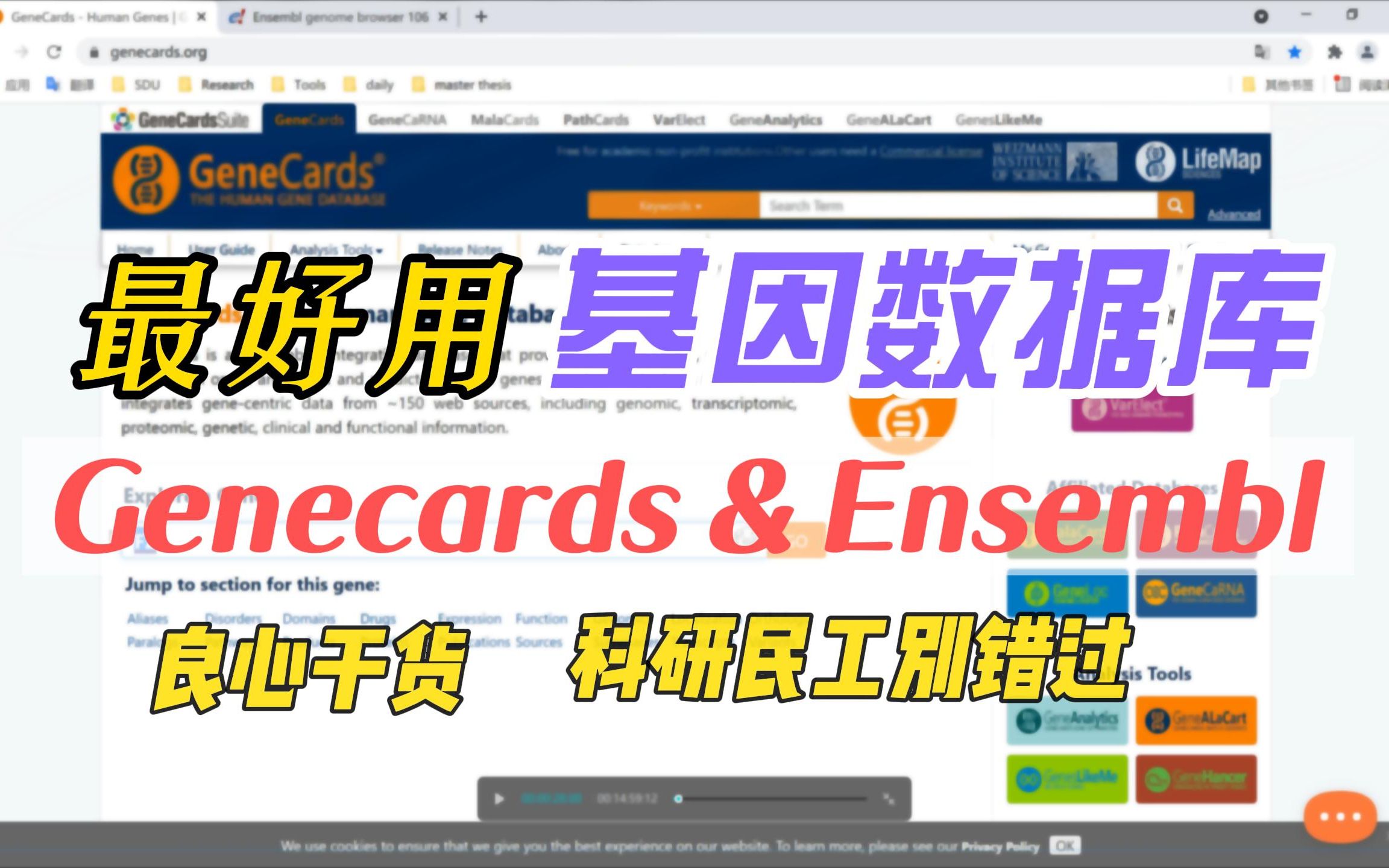 分享两个好用的基因数据库:Genecards+Ensemble教程 | 科研路上的...
