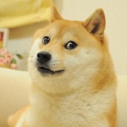 小大小深 