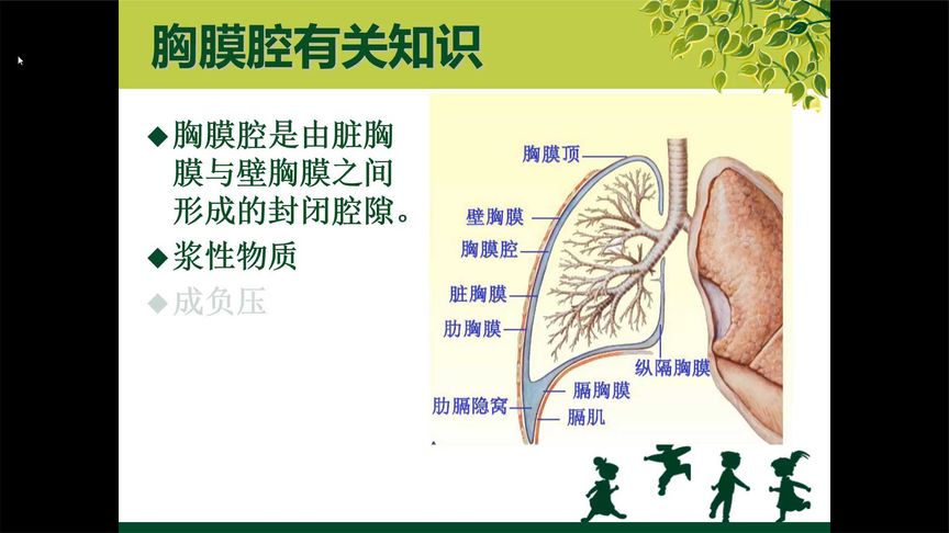 胸腔引流管的护理PPT